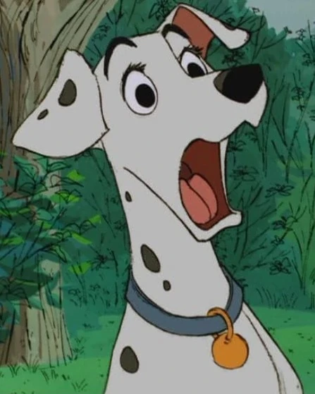 Cate Bauer | Film and Television Wikia | Fandom