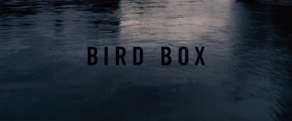 Bird Box | Film and Television Wikia | Fandom