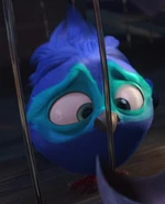 Rio | Film and Television Wikia | Fandom