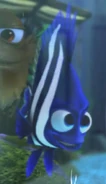 Finding Nemo | Film and Television Wikia | Fandom