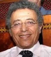 Mohammed Afifi | Film and Television Wikia | Fandom