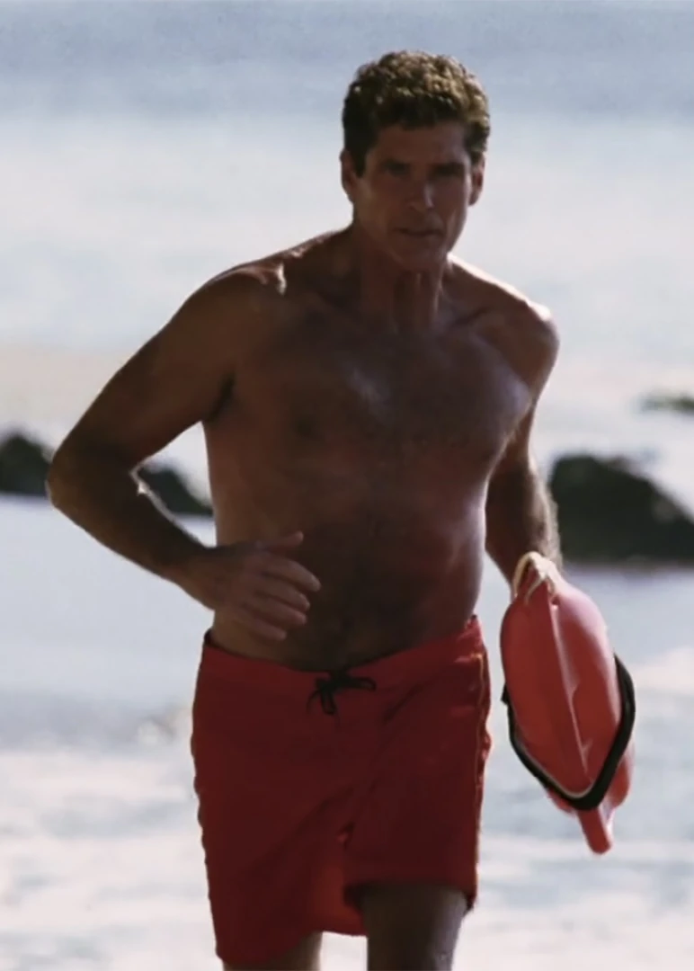 David Hasselhoff | Film and Television Wikia | Fandom
