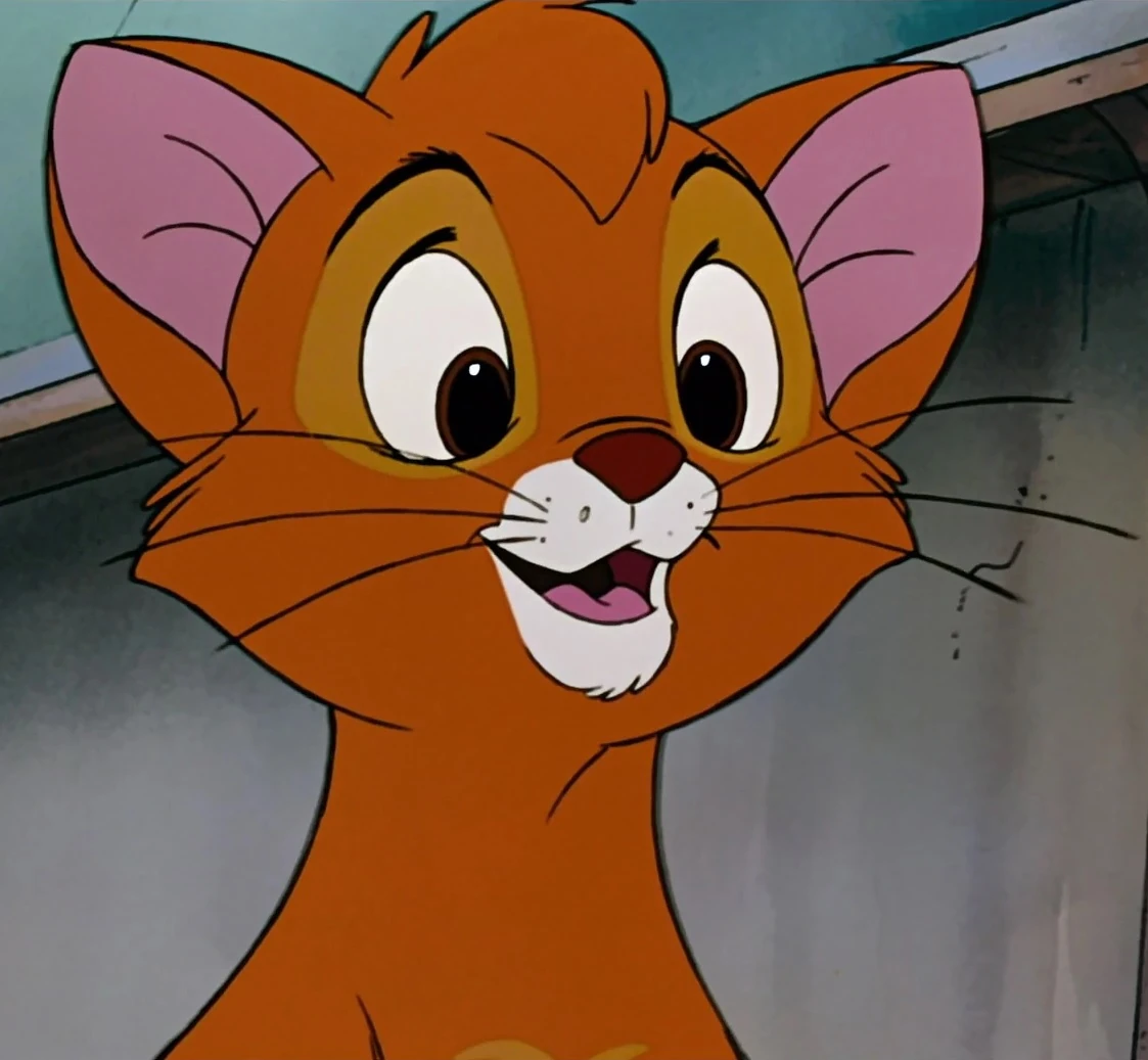 Joey Lawrence | Film and Television Wikia | Fandom