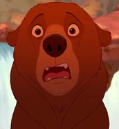 Brother Bear | Film and Television Wikia | Fandom