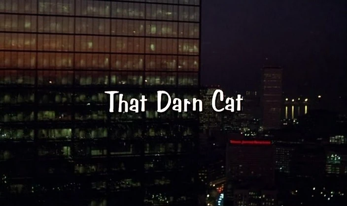 That Darn Cat | Film and Television Wikia | Fandom