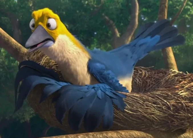 Rio | Film and Television Wikia | Fandom