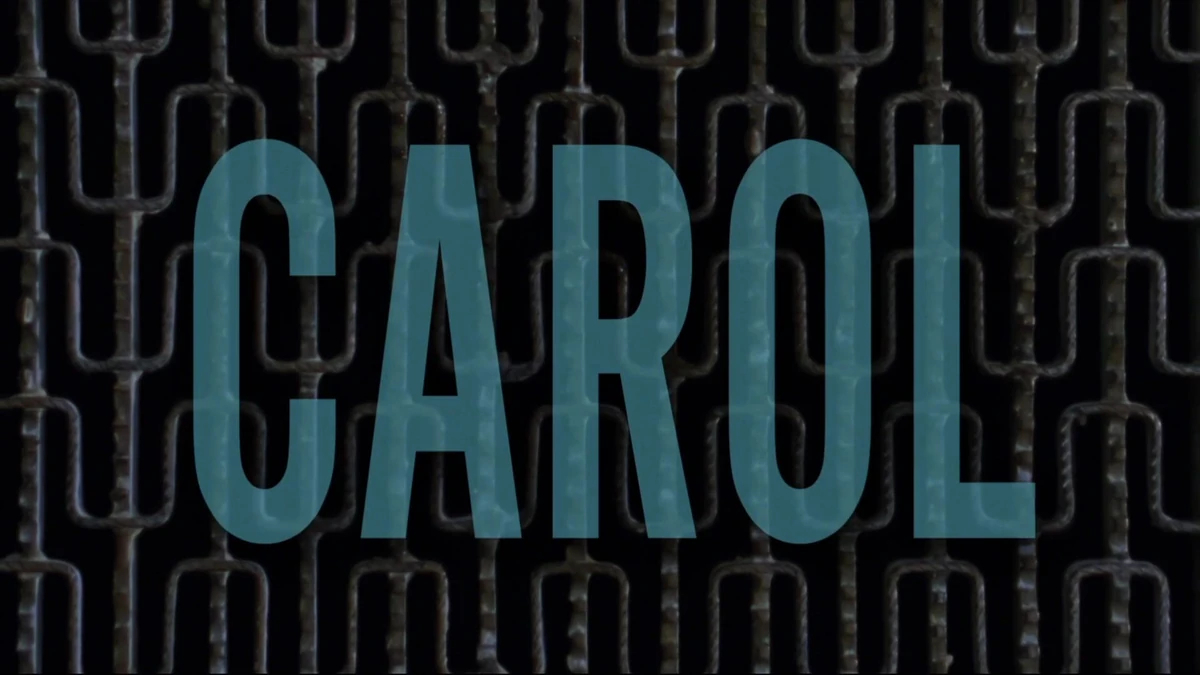 Carol | Film and Television Wikia | Fandom
