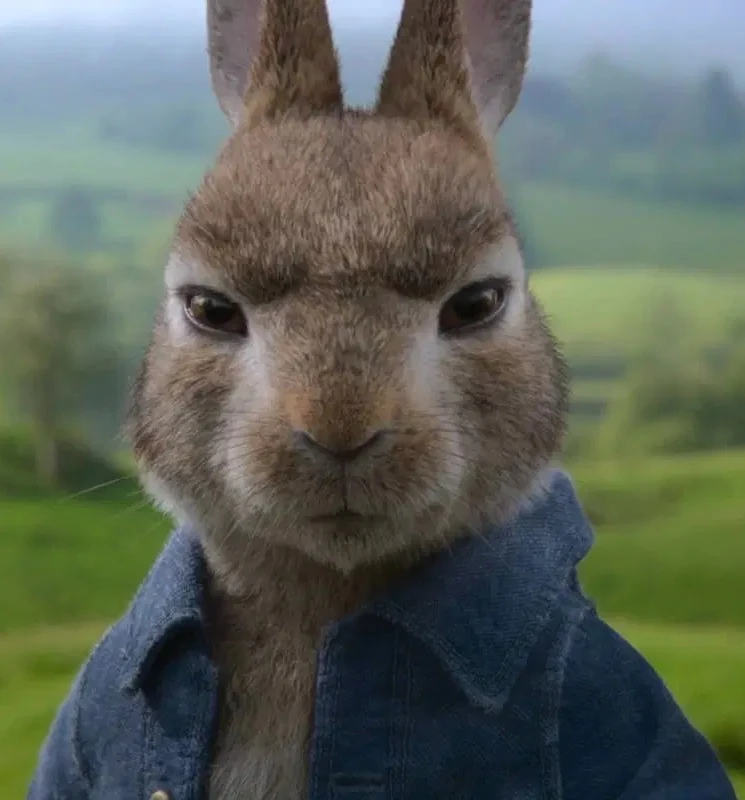 Peter Rabbit (2018) | Film and Television Wikia | Fandom