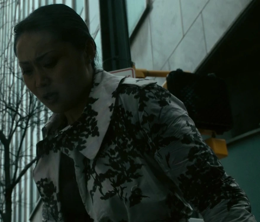 Ming Qiu | Film and Television Wikia | Fandom