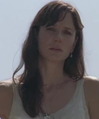 Sarah Wayne Callies | Film and Television Wikia | Fandom