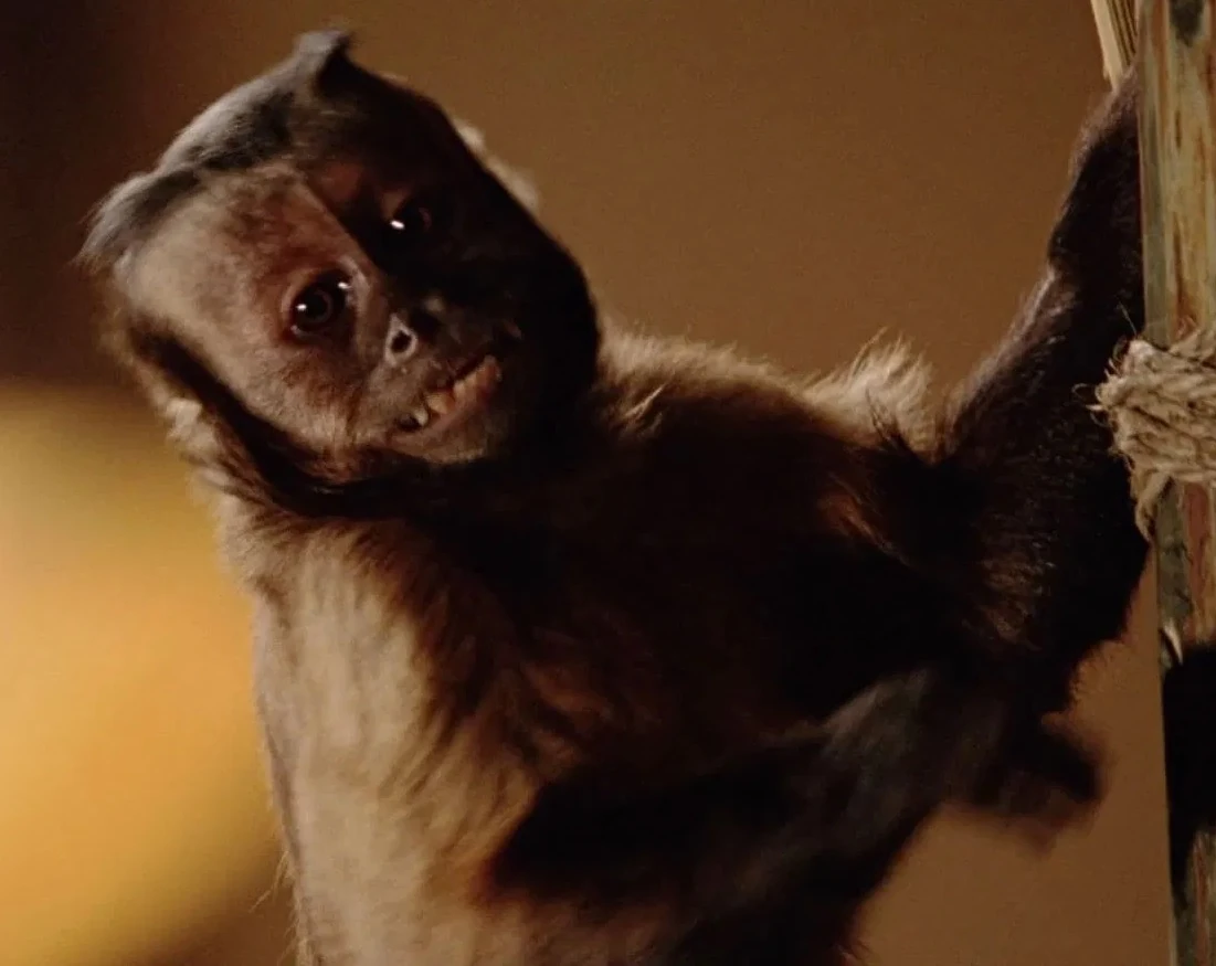 Crystal the Monkey | Film and Television Wikia | Fandom