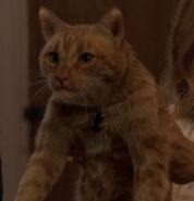 Archie | Film and Television Wikia | Fandom