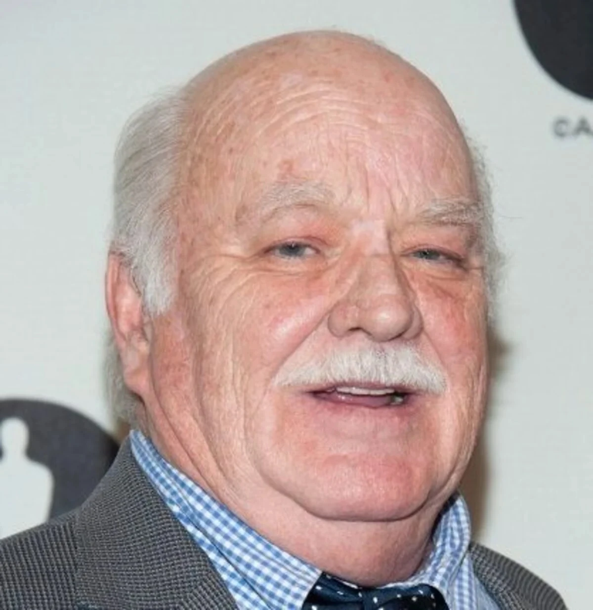 Brian Doyle-Murray | Film and Television Wikia | Fandom