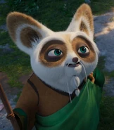 Kung Fu Panda 4 | Film and Television Wikia | Fandom