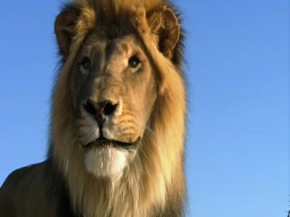 Kwame Kwei-Armah | Film and Television Wikia | Fandom