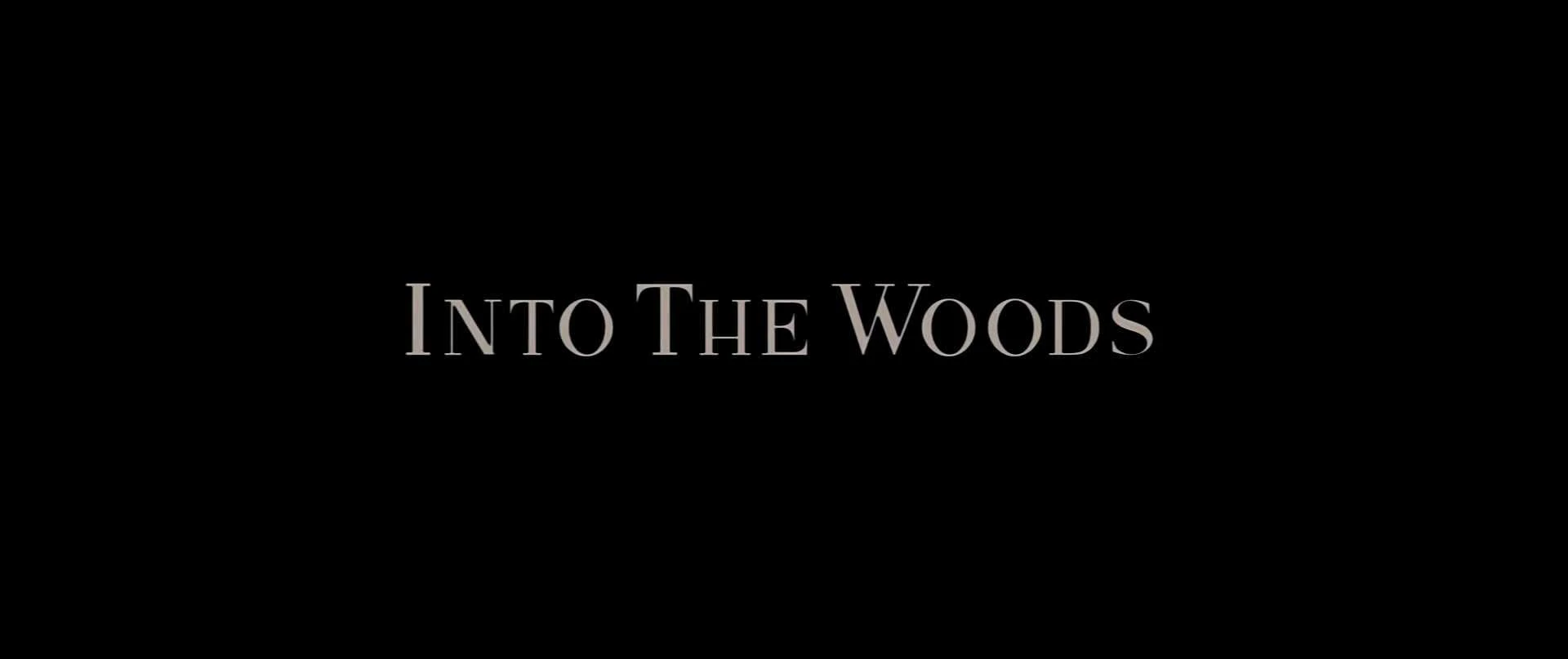Into the Woods (2014) | Film and Television Wikia | Fandom