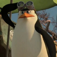 Madagascar: Escape 2 Africa | Film and Television Wikia | Fandom