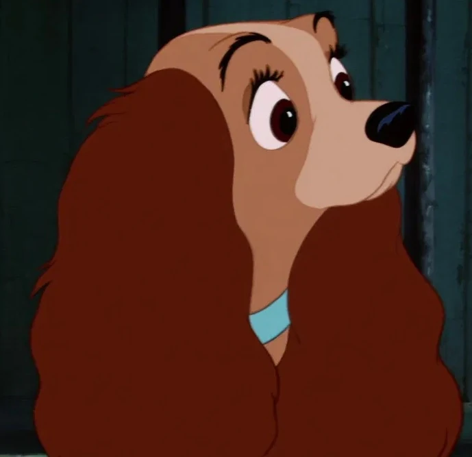 Barbara Luddy | Film and Television Wikia | Fandom