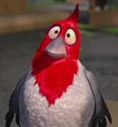 Rio | Film and Television Wikia | Fandom