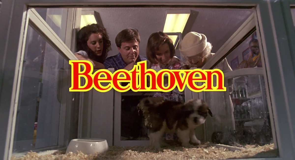 Beethoven | Film and Television Wikia | Fandom