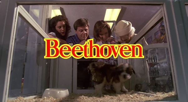 Beethoven | Film and Television Wikia | Fandom