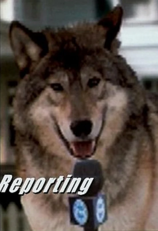 Paul Pape | Film and Television Wikia | Fandom