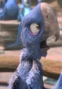 Rio 2 | Film and Television Wikia | Fandom