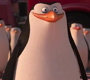 Penguins of Madagascar | Film and Television Wikia | Fandom