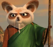 Kung Fu Panda 2 | Film and Television Wikia | Fandom