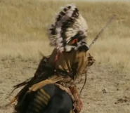 The Ballad of Buster Scruggs | Film and Television Wikia | Fandom