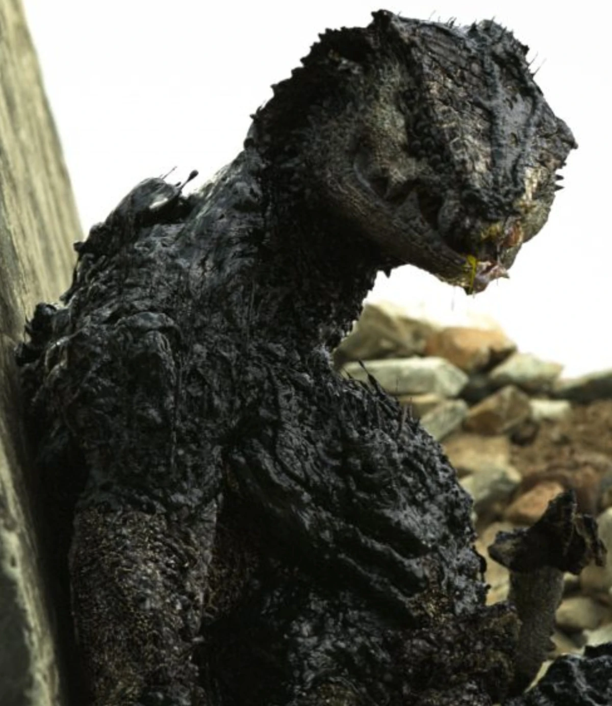 Avengers Fanon Wiki:Leatherhead | Avengers Fanon Wiki | Fandom