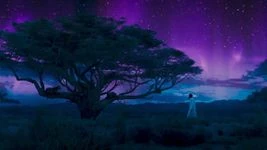 Birnin Zana | Marvel-Filme Wiki | Fandom