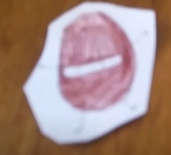 Potato | Average Objects Wiki | Fandom