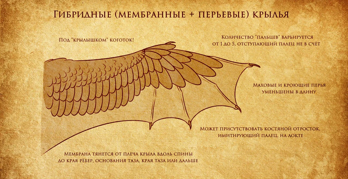 Крылья (аномалия) | Avgard Вики | Fandom