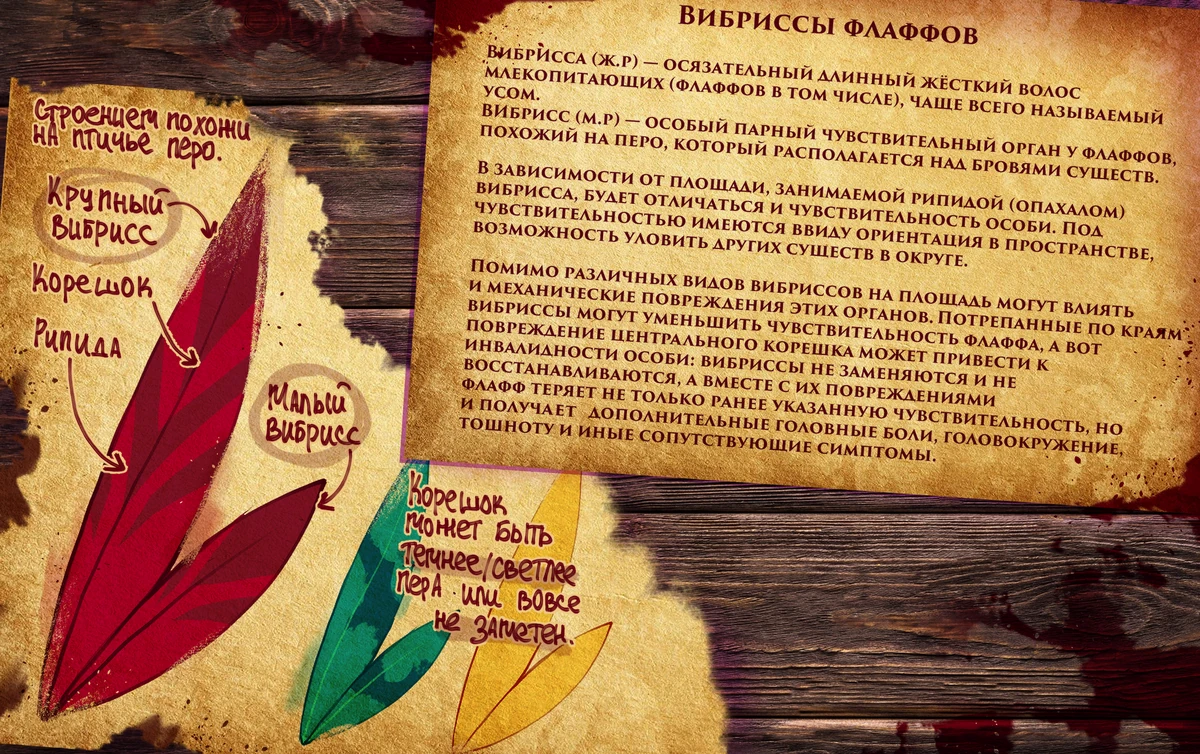 Вибриссы | Avgard Вики | Fandom