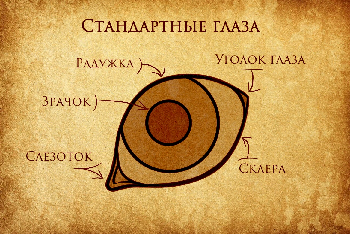 Глаза флаффов | Avgard Вики | Fandom