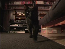 Boo | Angry Video Game Nerd Wiki | Fandom