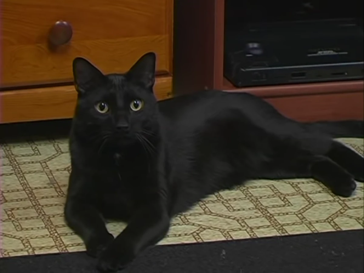 Boo | Angry Video Game Nerd Wiki | Fandom