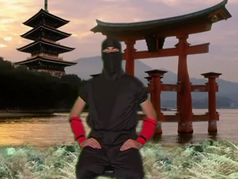 The Ninja | Angry Video Game Nerd Wiki | Fandom