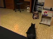 Boo | Angry Video Game Nerd Wiki | Fandom