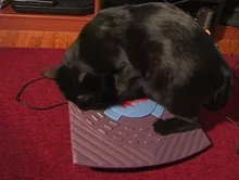 Boo | Angry Video Game Nerd Wiki | Fandom