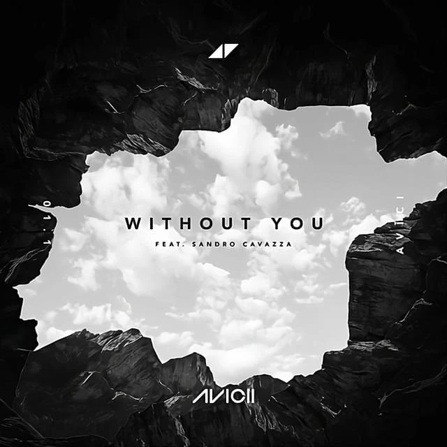 Without You | Avicii Wiki | Fandom