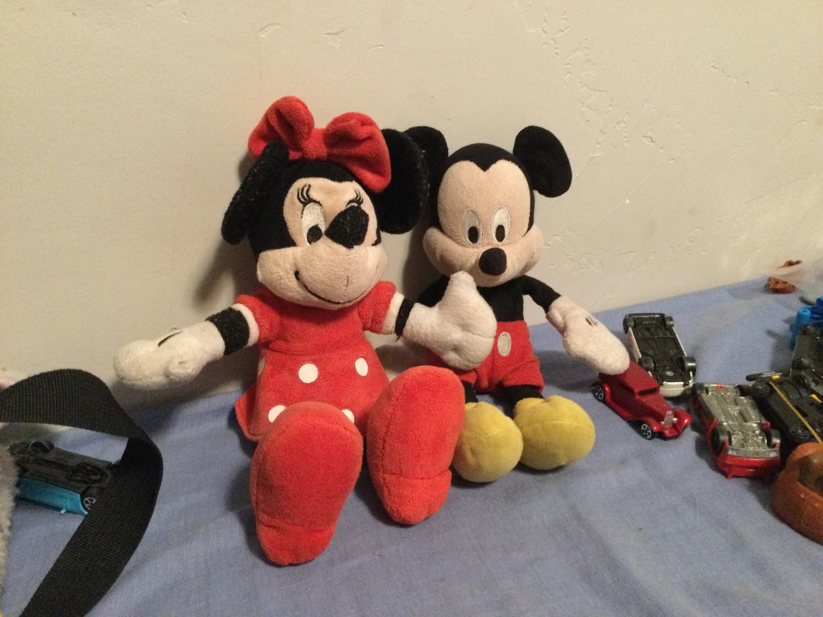 May 2021 toy presidential election | Aviles Toys Wiki | Fandom