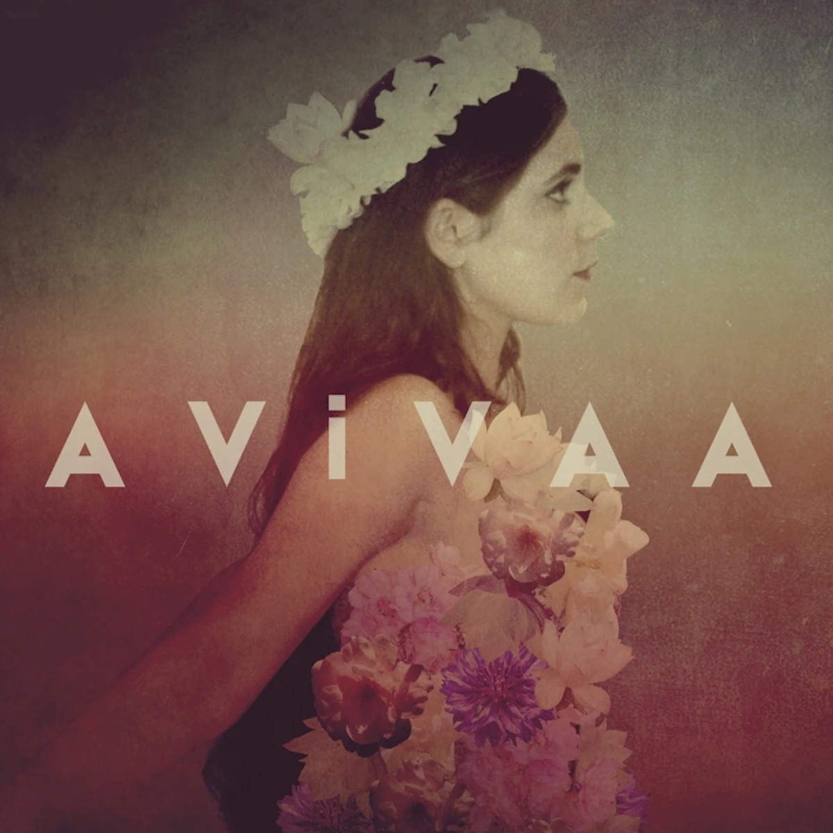 Shadows | AViVA Wiki | Fandom