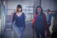 Avlu: The Yard | Avlu Wiki | Fandom