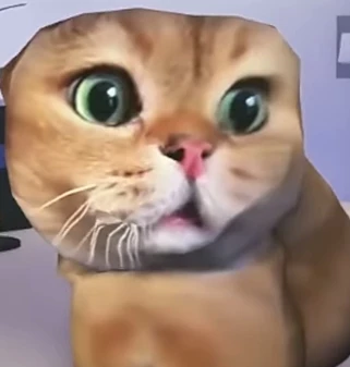 Talking Cat | Avocado Playz Wiki | Fandom