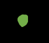 Green Dot | Avoid the Dots Wiki | Fandom