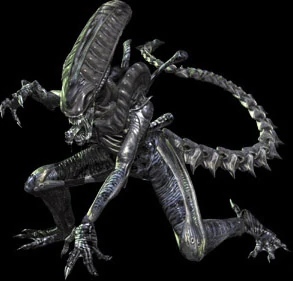 User blog:AVP3/My Alien, Predator, and AVP questions | Xenopedia | Fandom