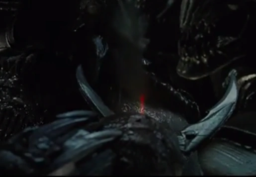 Flaying Tool | Xenopedia | Fandom