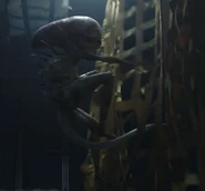 Bloodburster | Xenopedia | Fandom